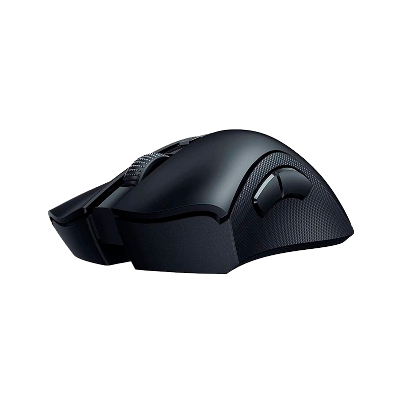 RAZER DEATHADDER V2 PRO | Golden Gamers